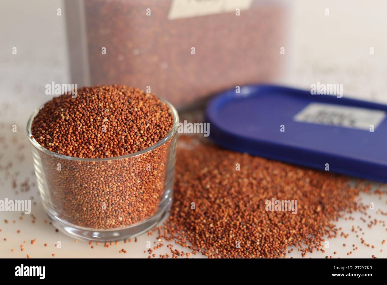 Finger millet grains kept in a storage container and glass bowl filled ...