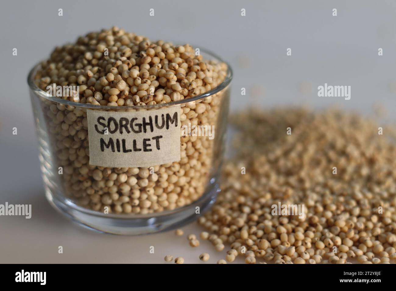 Closeup of sorghum millet grains kept in a glass bowl with label on it ...