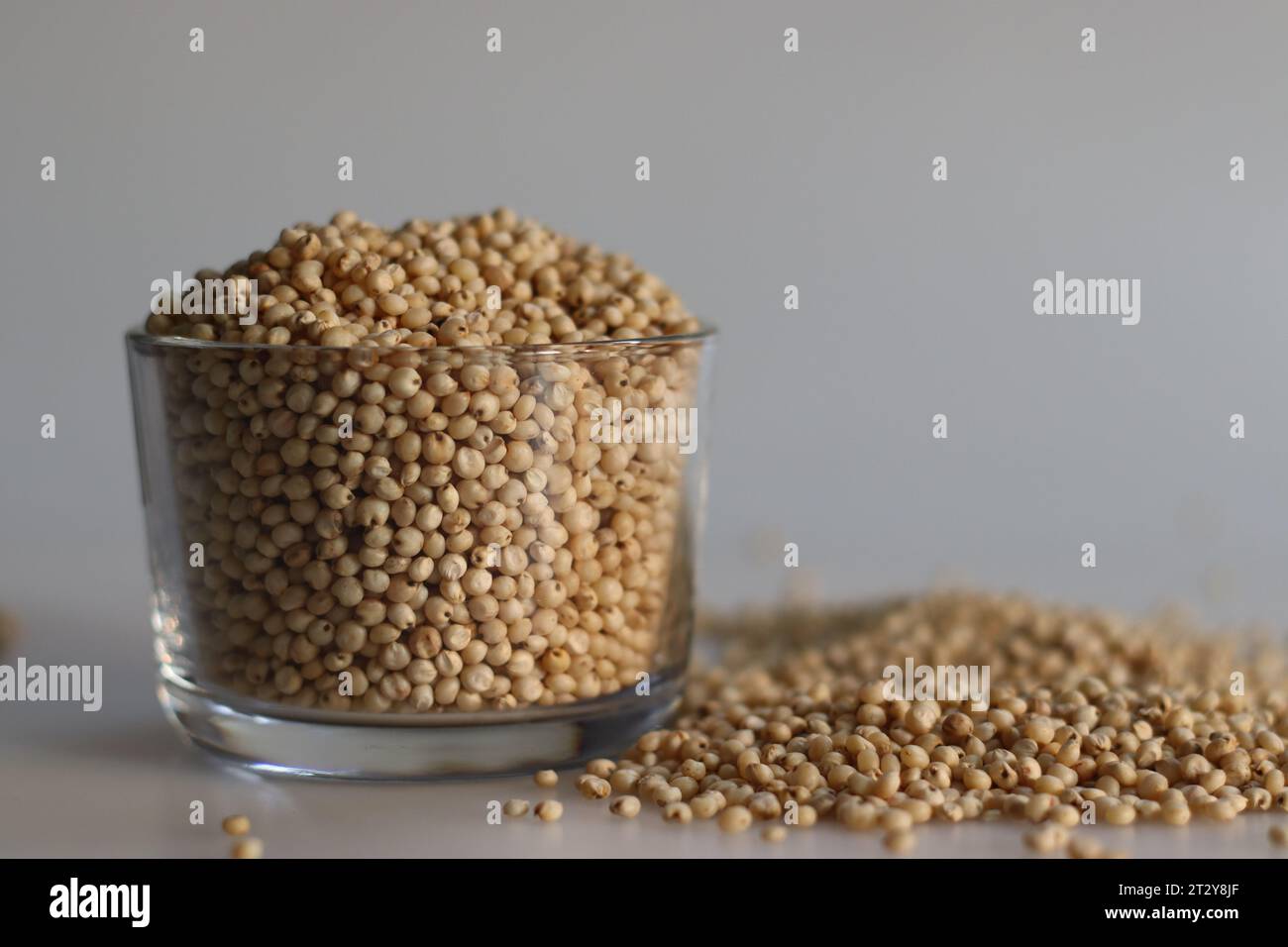 Closeup of sorghum millet grains kept in a glass bowl filled to the ...