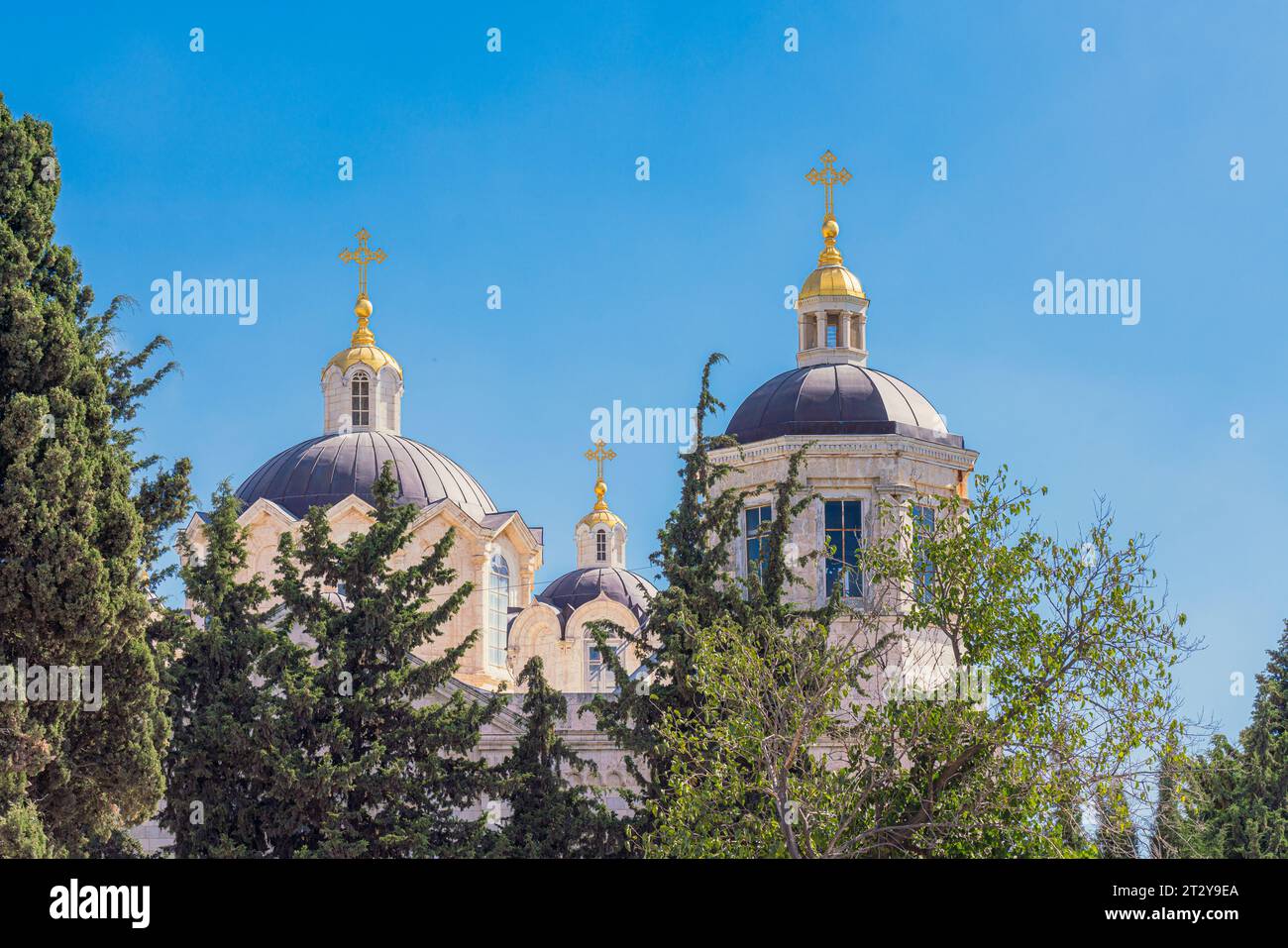 View of the Holy Trinity Cathedral, main Russian Orthodox Cathedral in ...