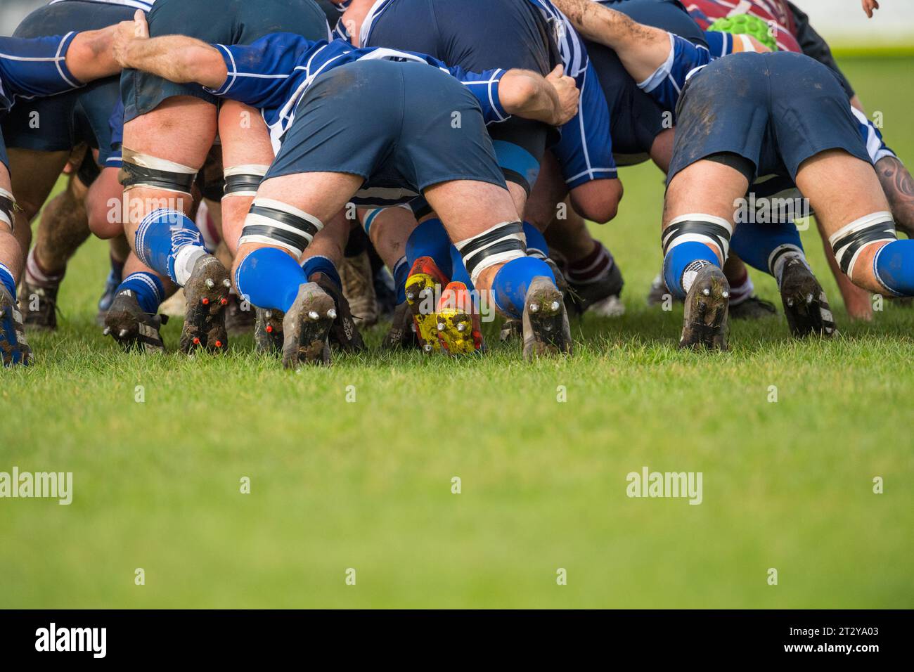 English amateur Rugby Union players playing in a league game and packed ...