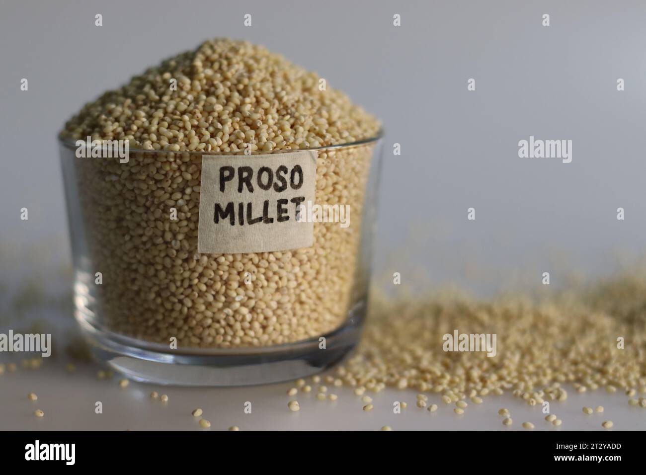 Proso millet, tiny round seeds with a golden hue kept in a glass bowl ...