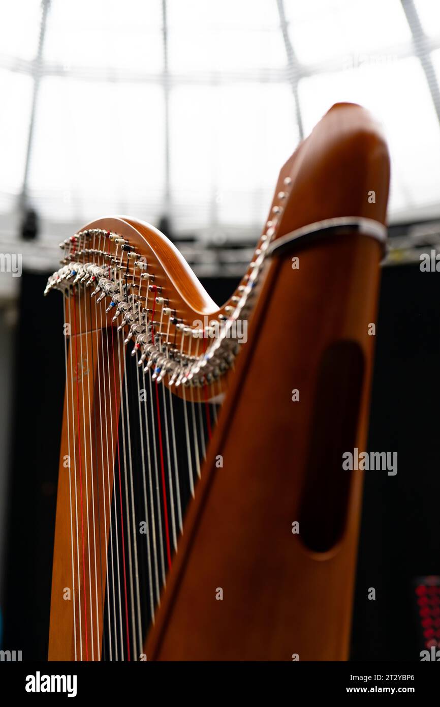 Close harp hi-res stock photography and images - Alamy