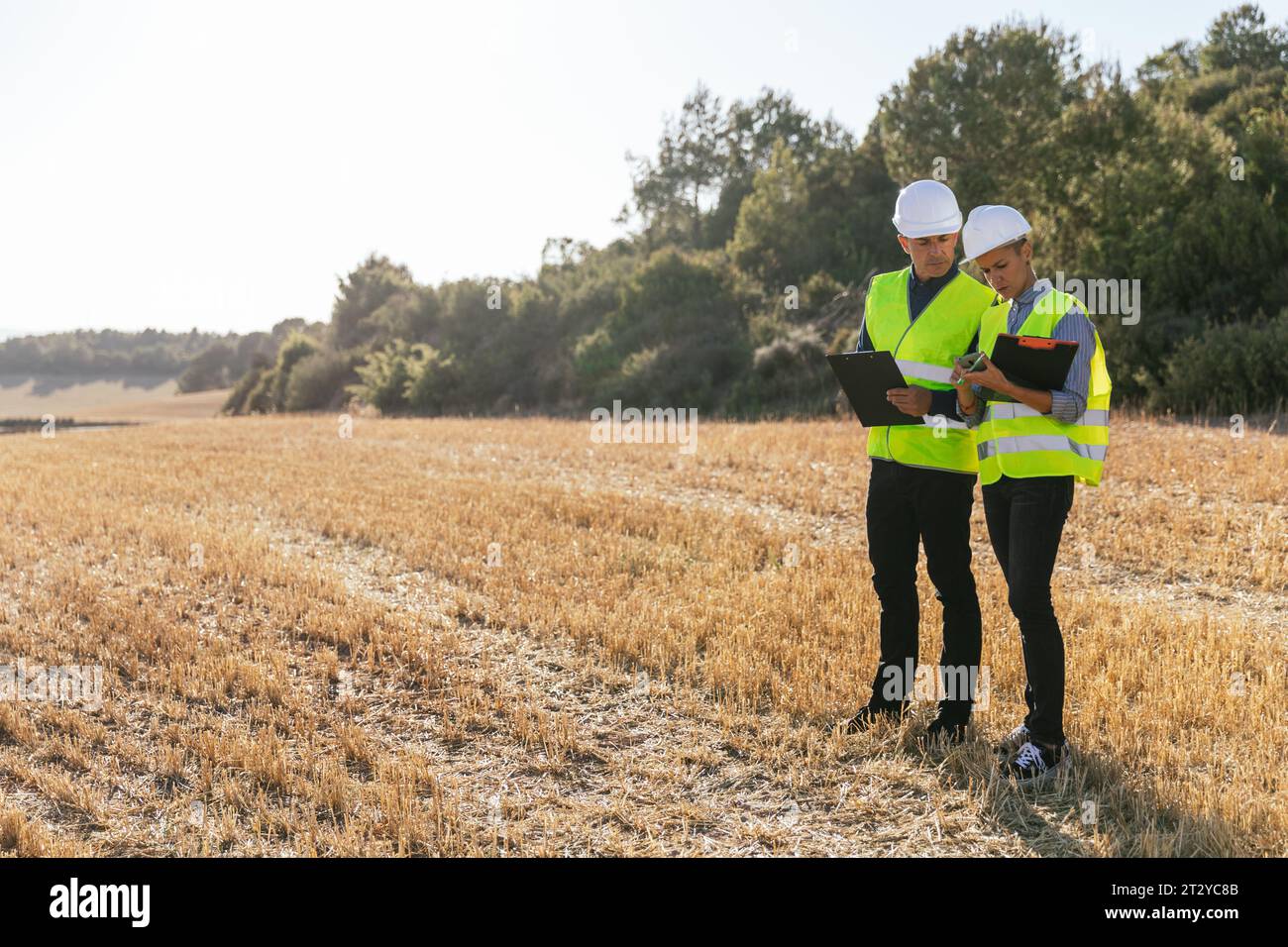 A team of engineers standing in the field looking at blueprints on a ...