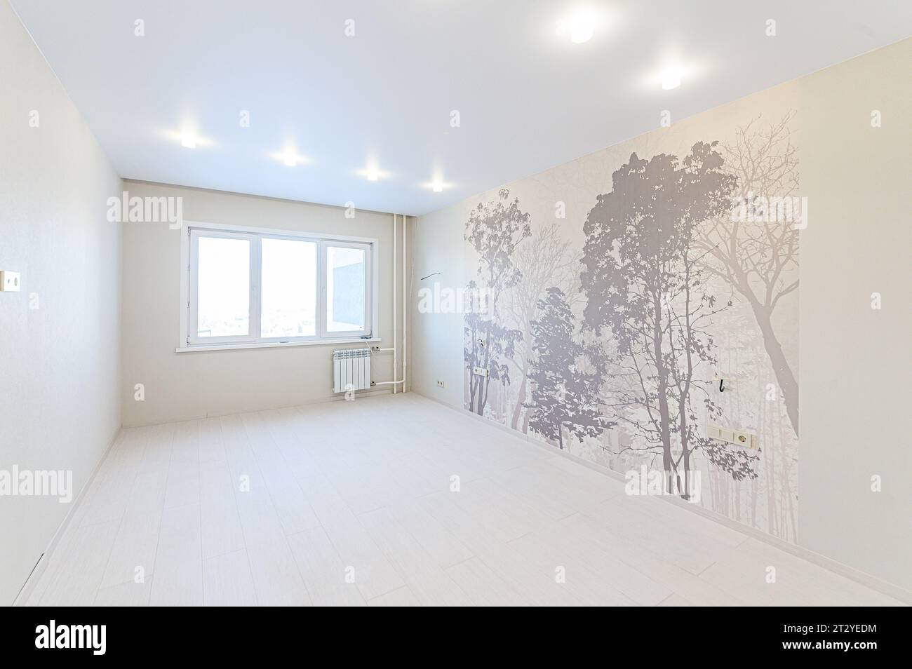 interior apartment empty room renovated Stock Photo - Alamy