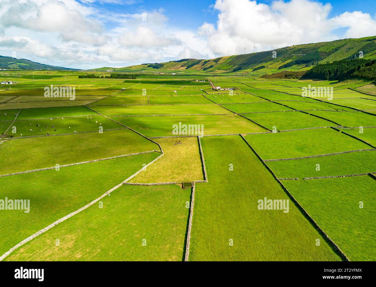 Ruaral landscape of Azores islands. Green meadows Stock Photo - Alamy