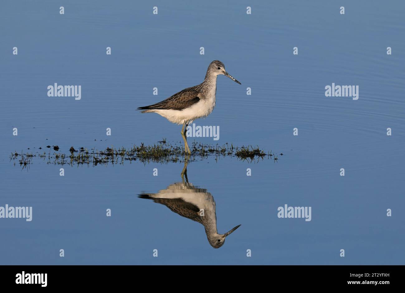 Calm by nature hi-res stock photography and images - Alamy