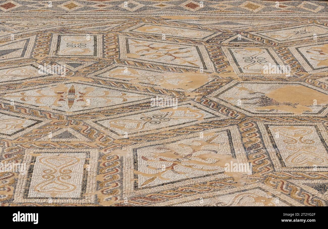Roman mosaic. Pavement decorated in the roman style Stock Photo - Alamy