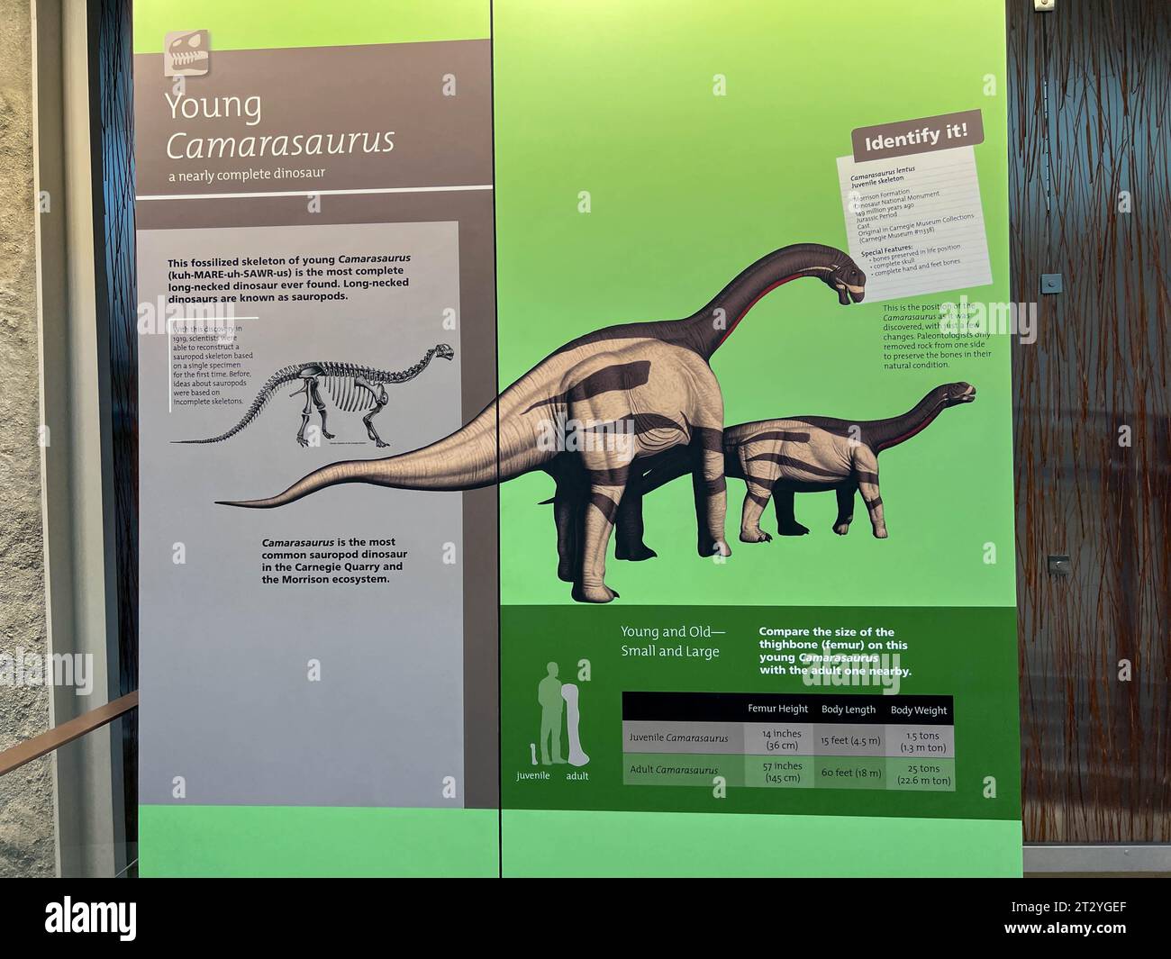 Vernal, UT USA - June 7, 2023: An informational sign telling about the ...