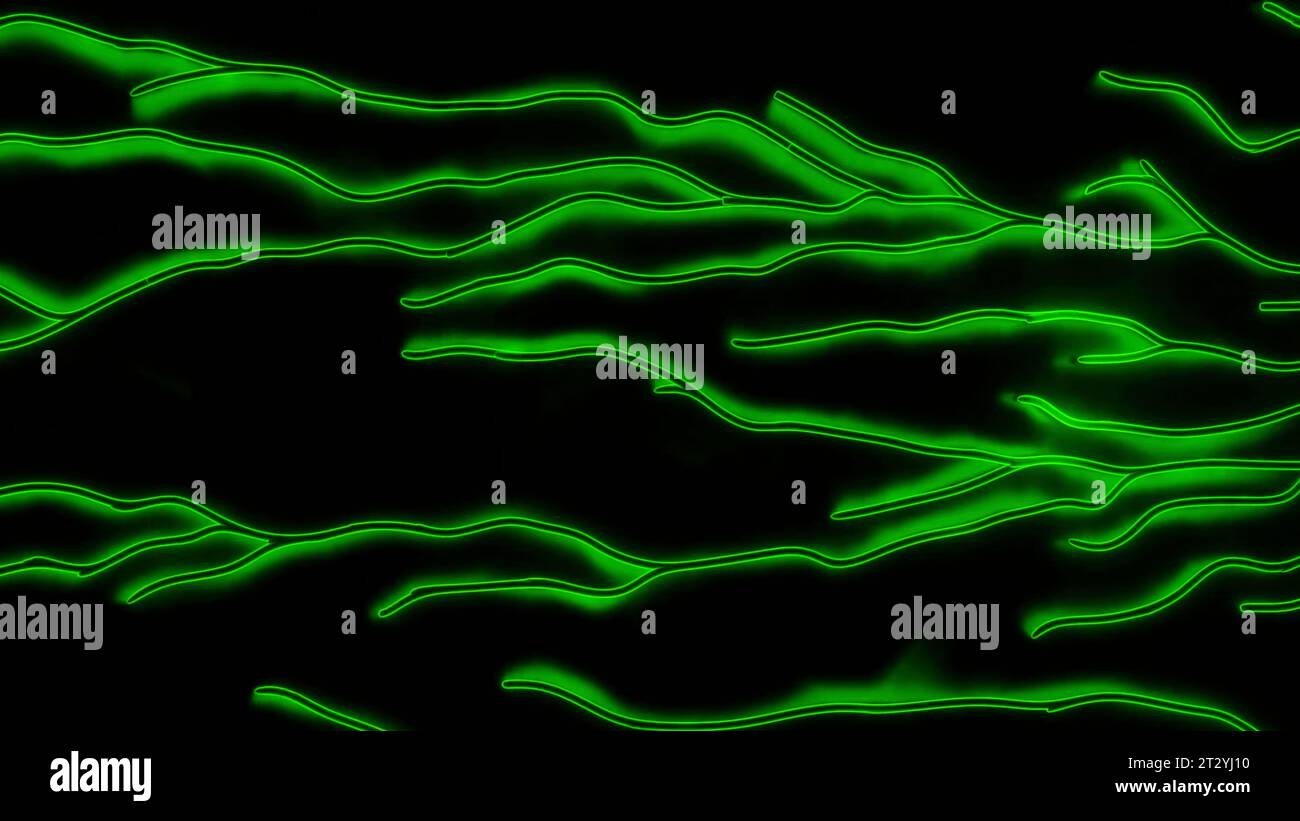 Abstract neon spreading lines looking like veins. Design. Colorful ...