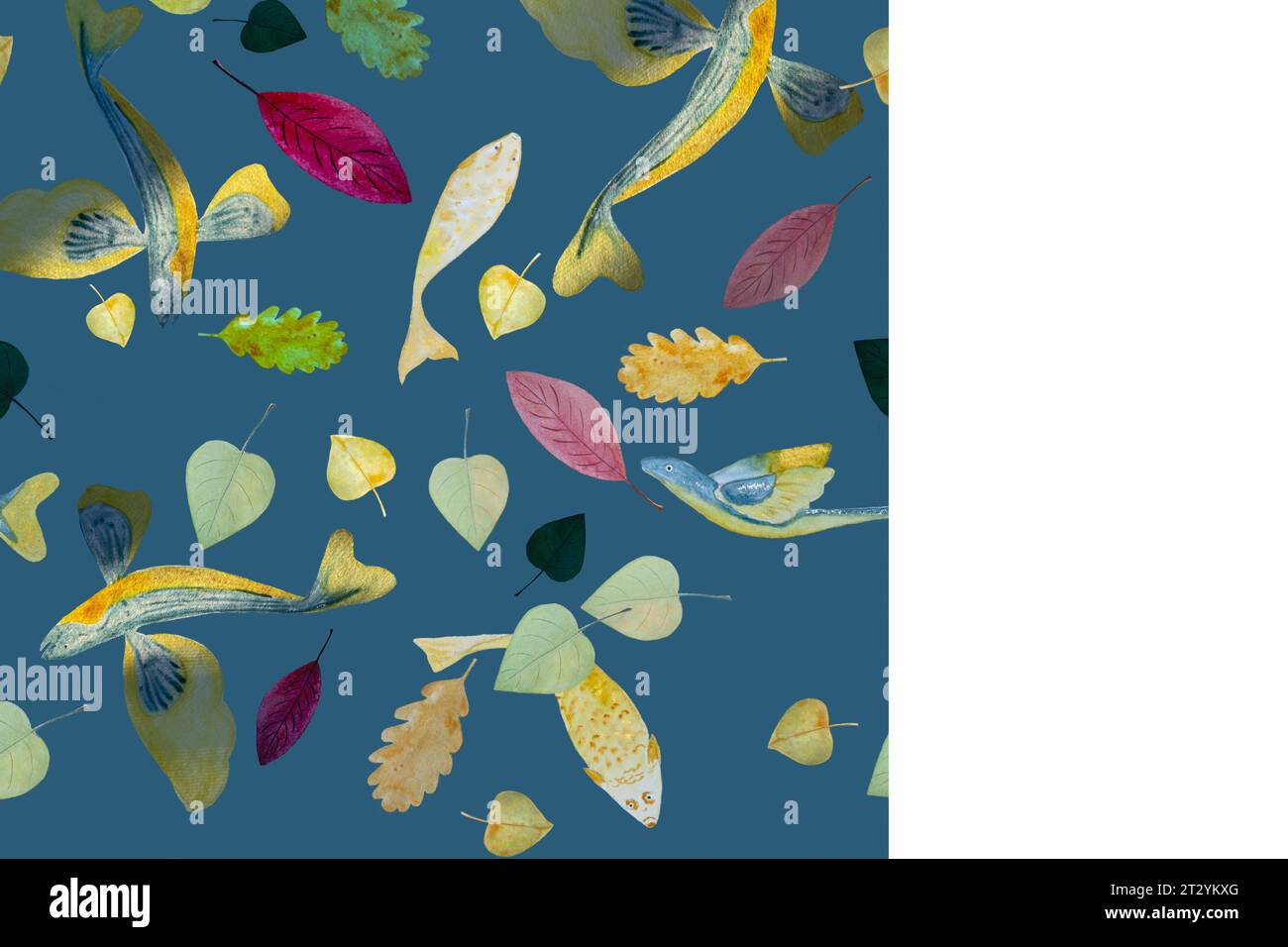 Watercolor hand drawn fishes banner Stock Photo - Alamy