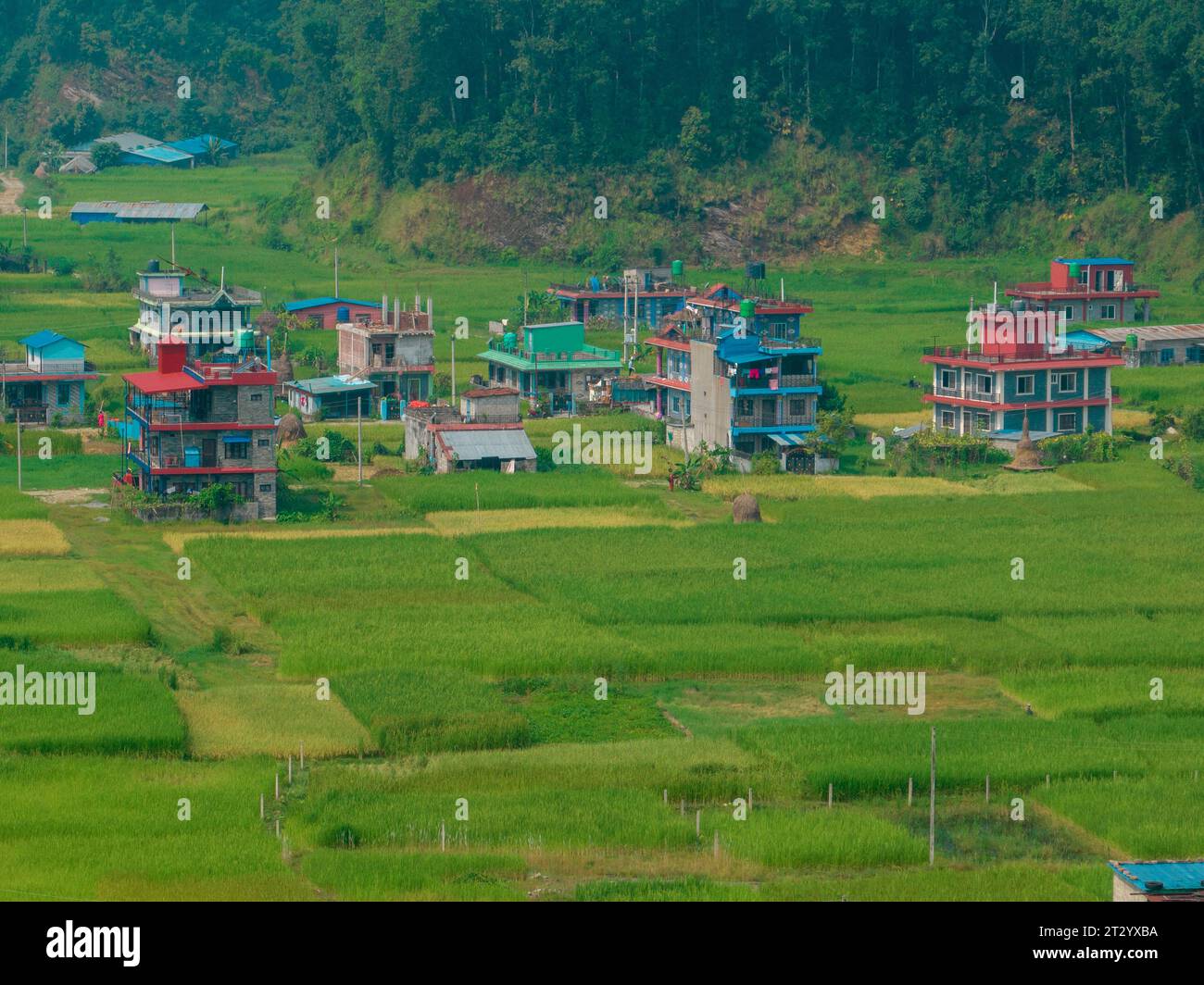 Aerial view of a nepalese rural landscape near Lake Bagnes, rice fields ...