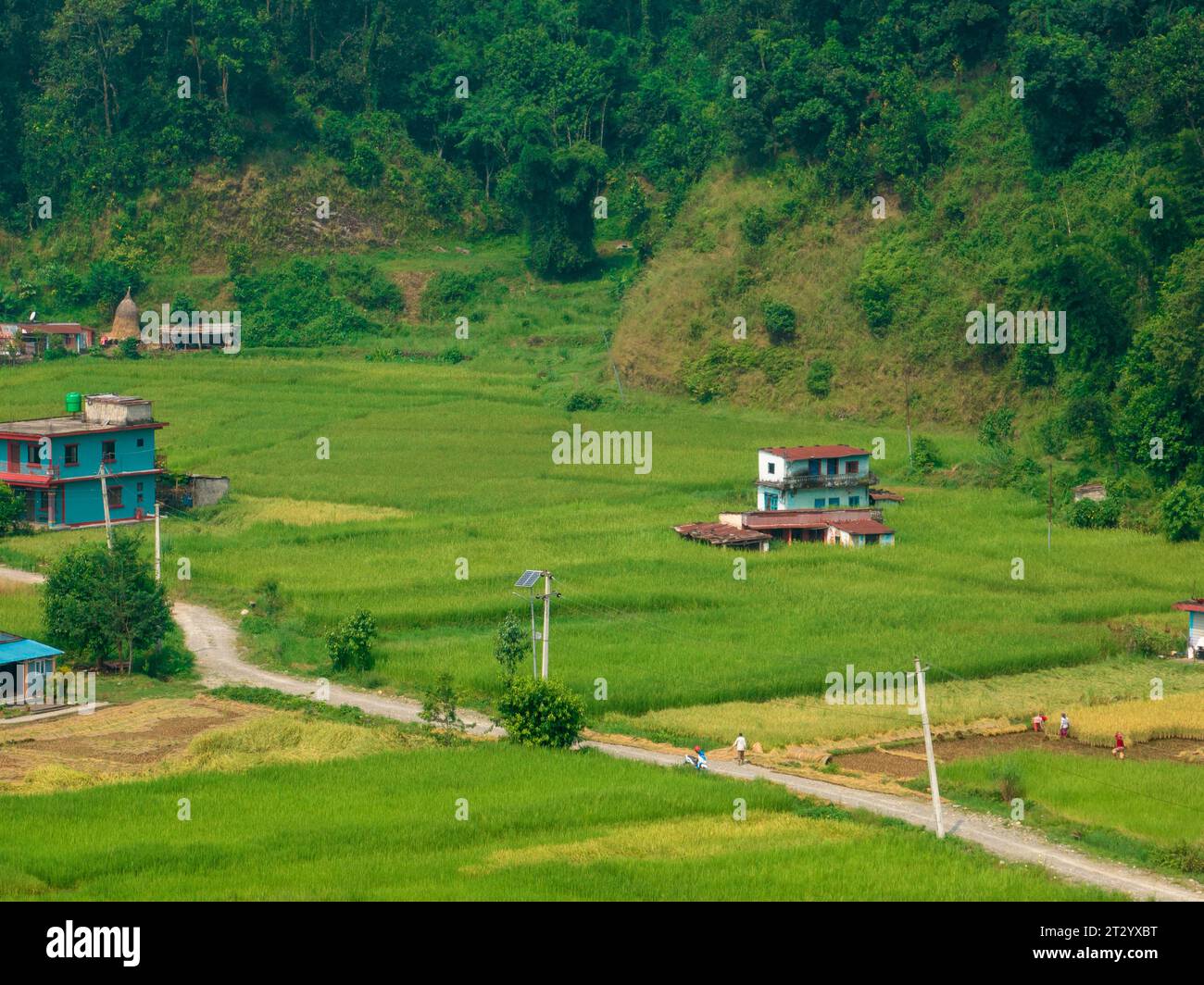 Aerial view of a nepalese rural landscape near Lake Bagnes, rice fields ...