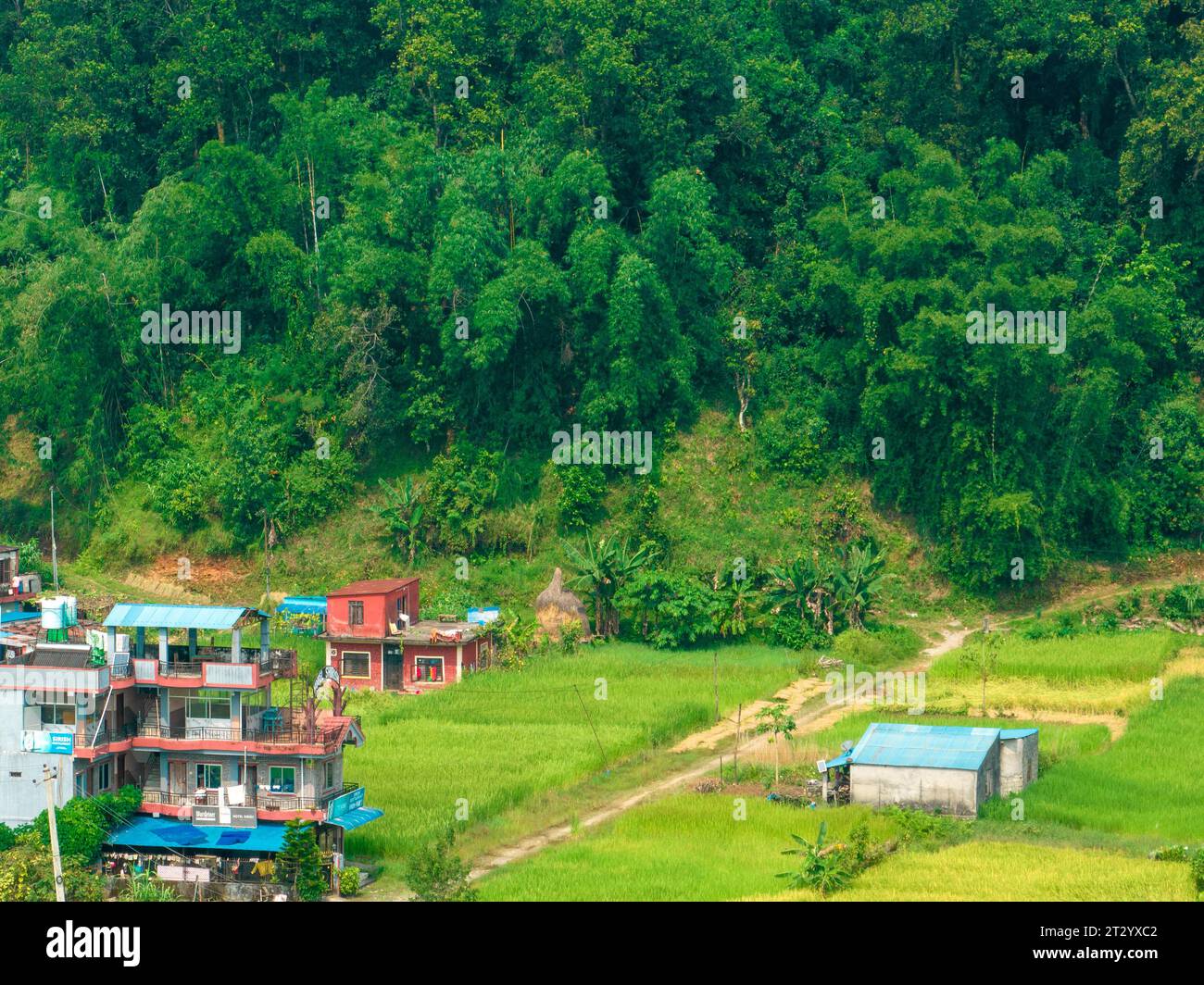 Aerial view of a nepalese rural landscape near Lake Bagnes, rice fields ...