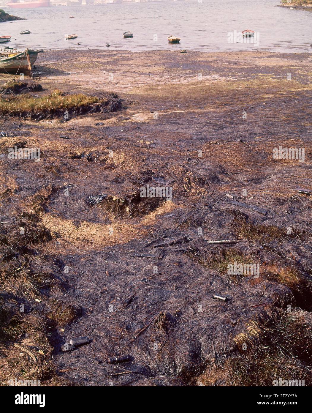 EFECTOS DEL PETROLERO URQUIOLA EXPLOSIONADO EN JUNIO1976: MAREA NEGRA ...