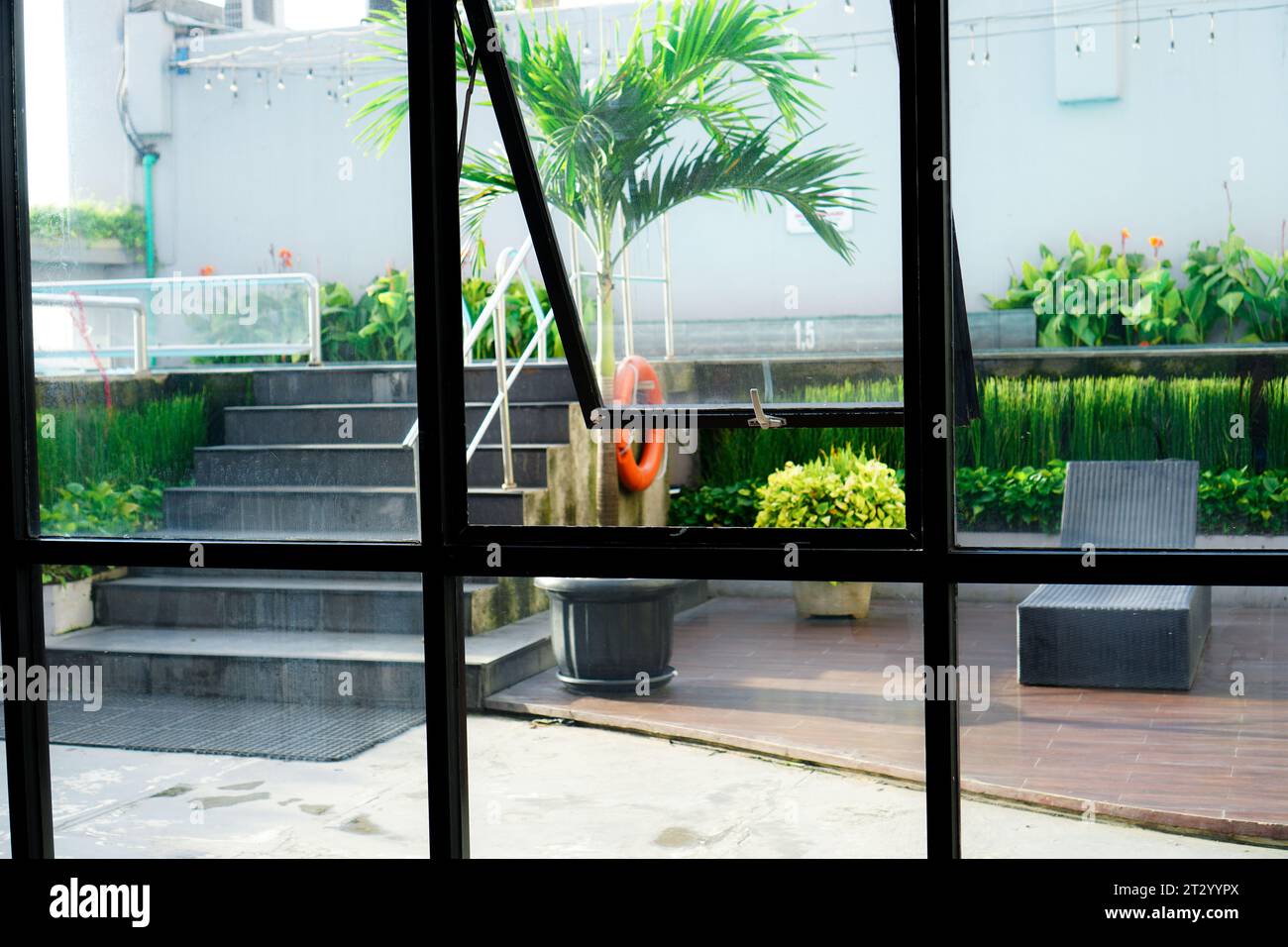 The view from the window opens to a courtyard with fresh green plants ...