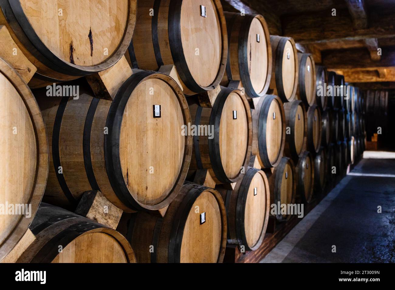Yerevan, Armenia - October 2, 2023: brandy barrels in NOY brandy ...
