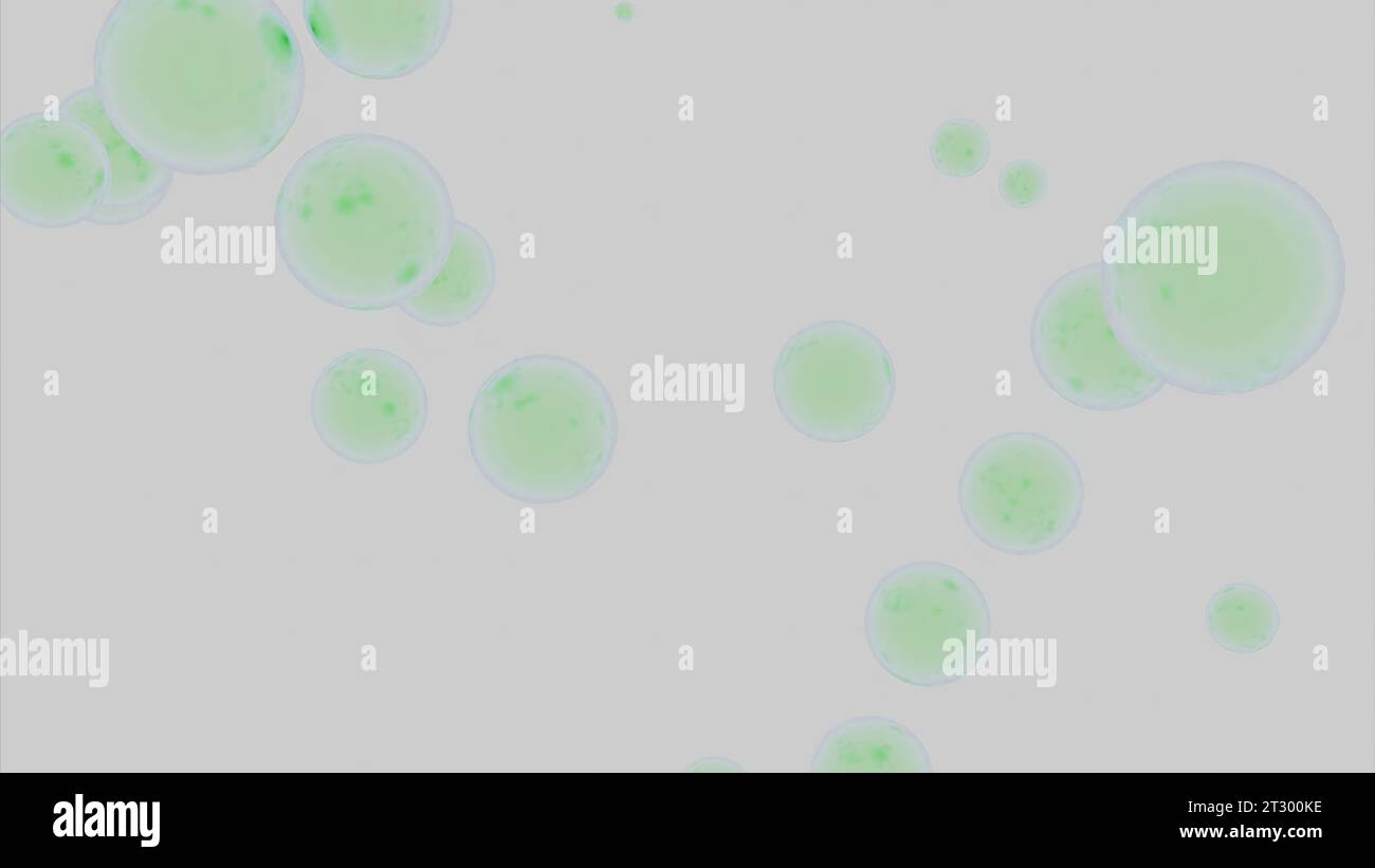 Light round shaped air bubbles flying on a white background. Design ...