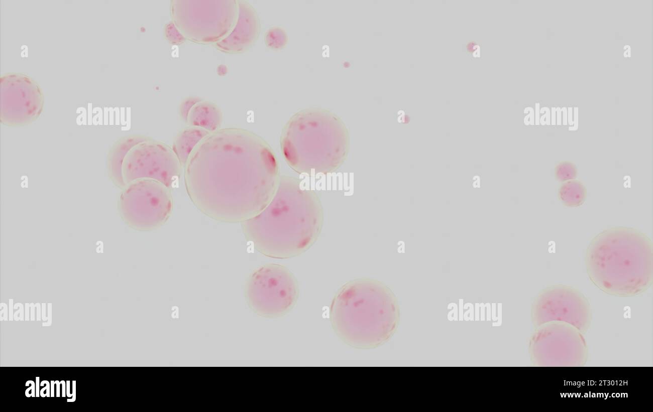 Light round shaped air bubbles flying on a white background. Design ...