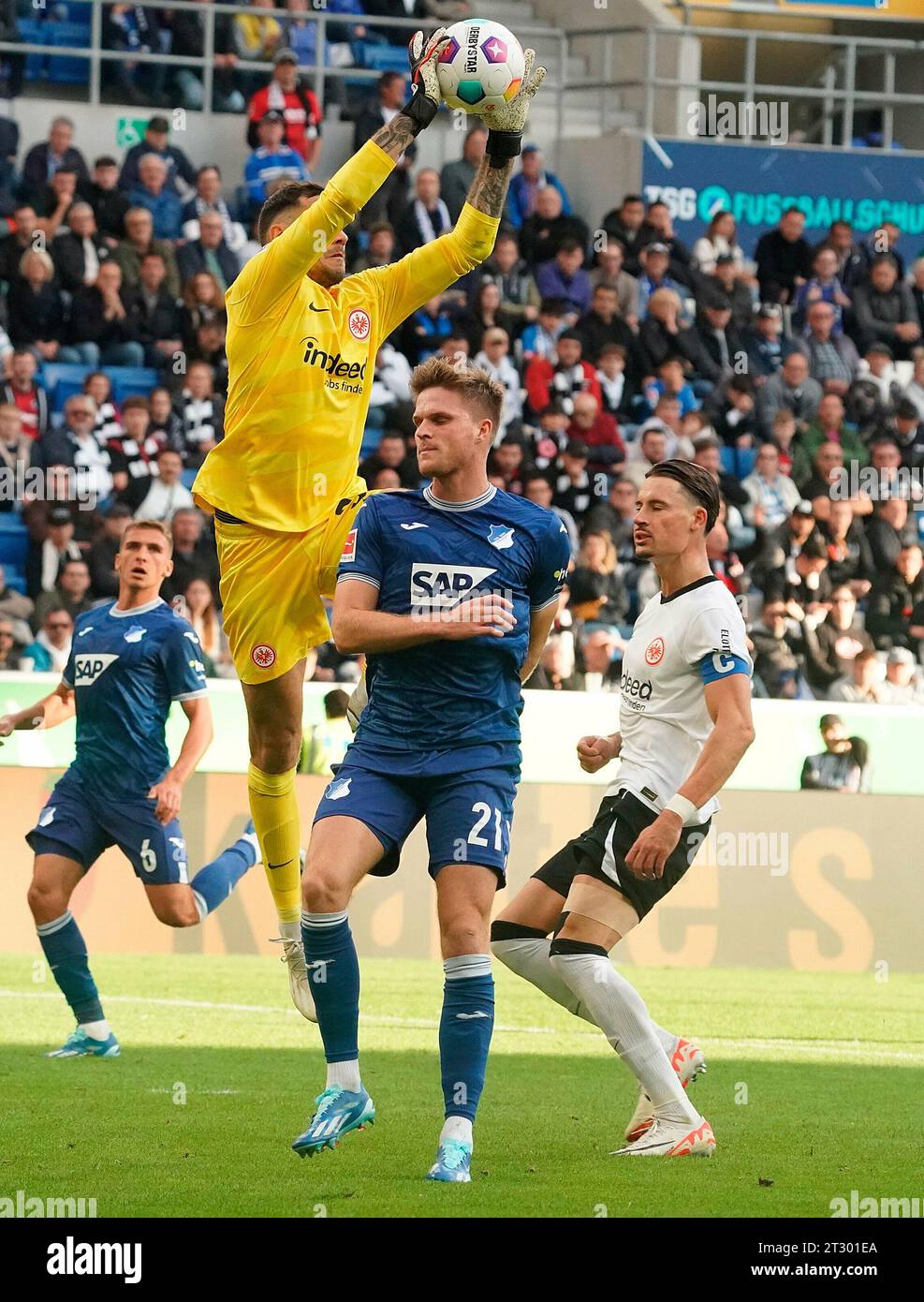 October 21st, 2023, PreZero-Arena, Sinsheim, GER, 1.FBL, TSG 1899 ...