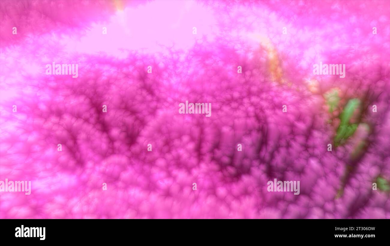 Bright fluffy sea anemon slow movement. Motion. Coral reef, underwater ...