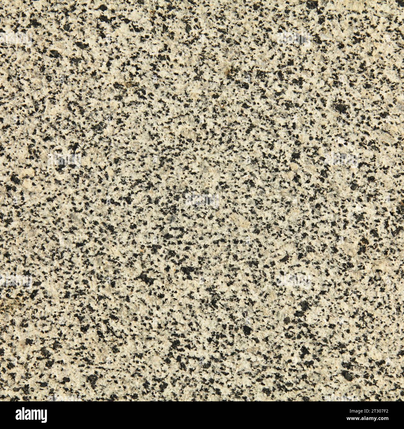 Grey, spotted granite, texture, backdrop. A variegated, spotted ...