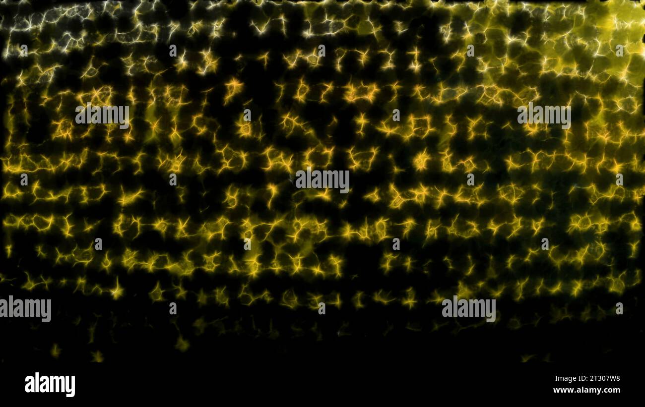 Plexus silhouettes of computer connected to big network. Motion ...