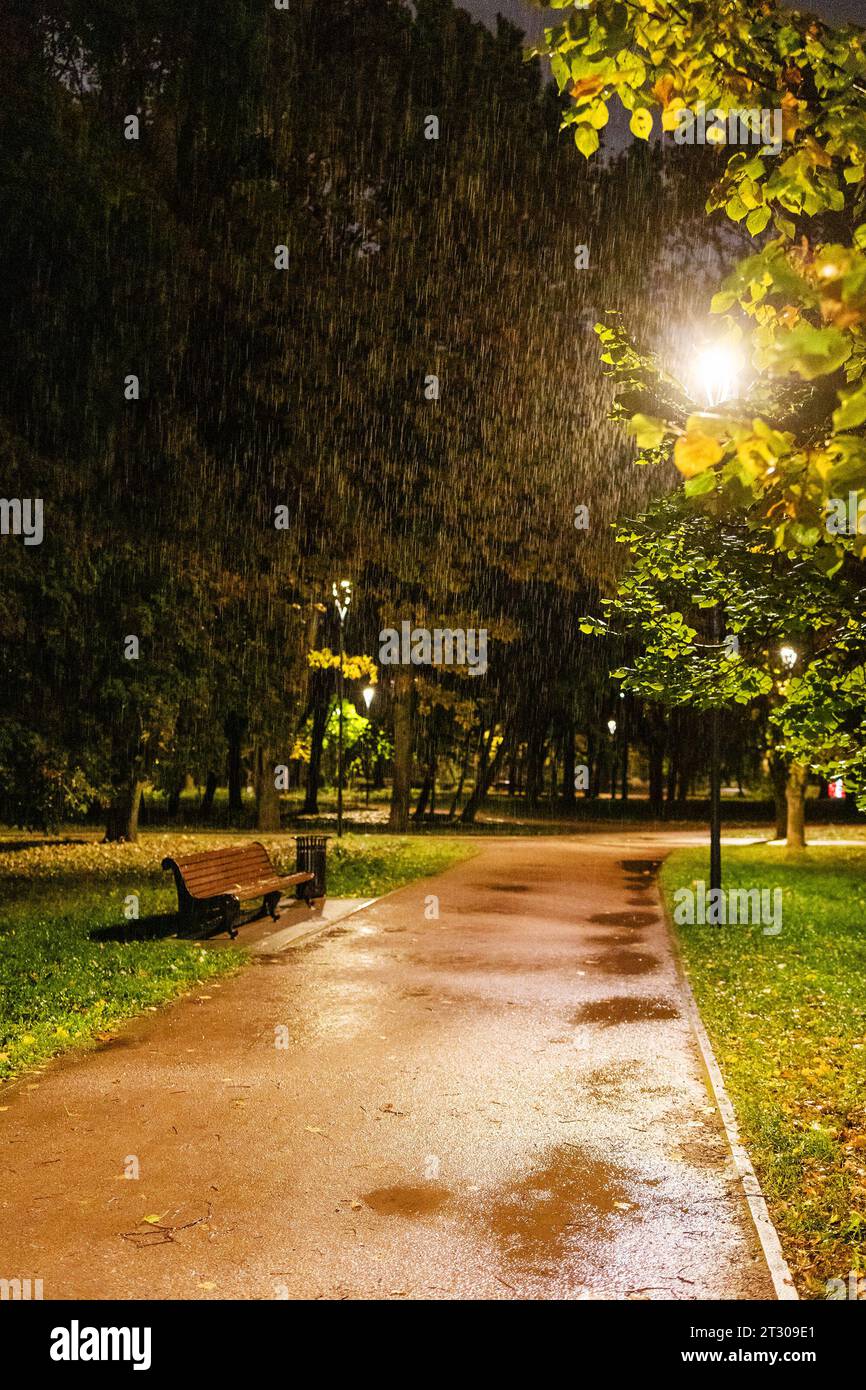 wet path and wooden bench in city park in rain in autumn night Stock ...