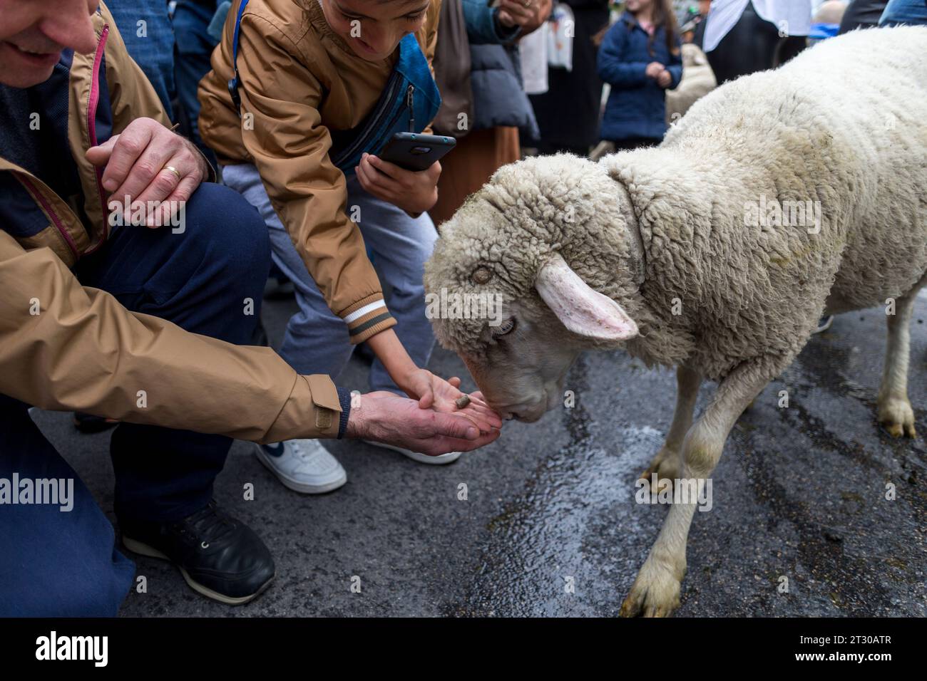 Madrid, Madrid, Spain. 22nd Oct, 2023. A father and his son offer food ...