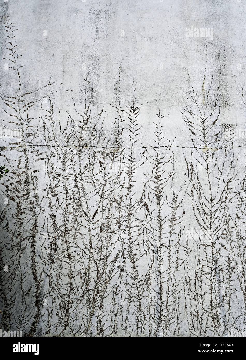 Marks left wall hi-res stock photography and images - Alamy