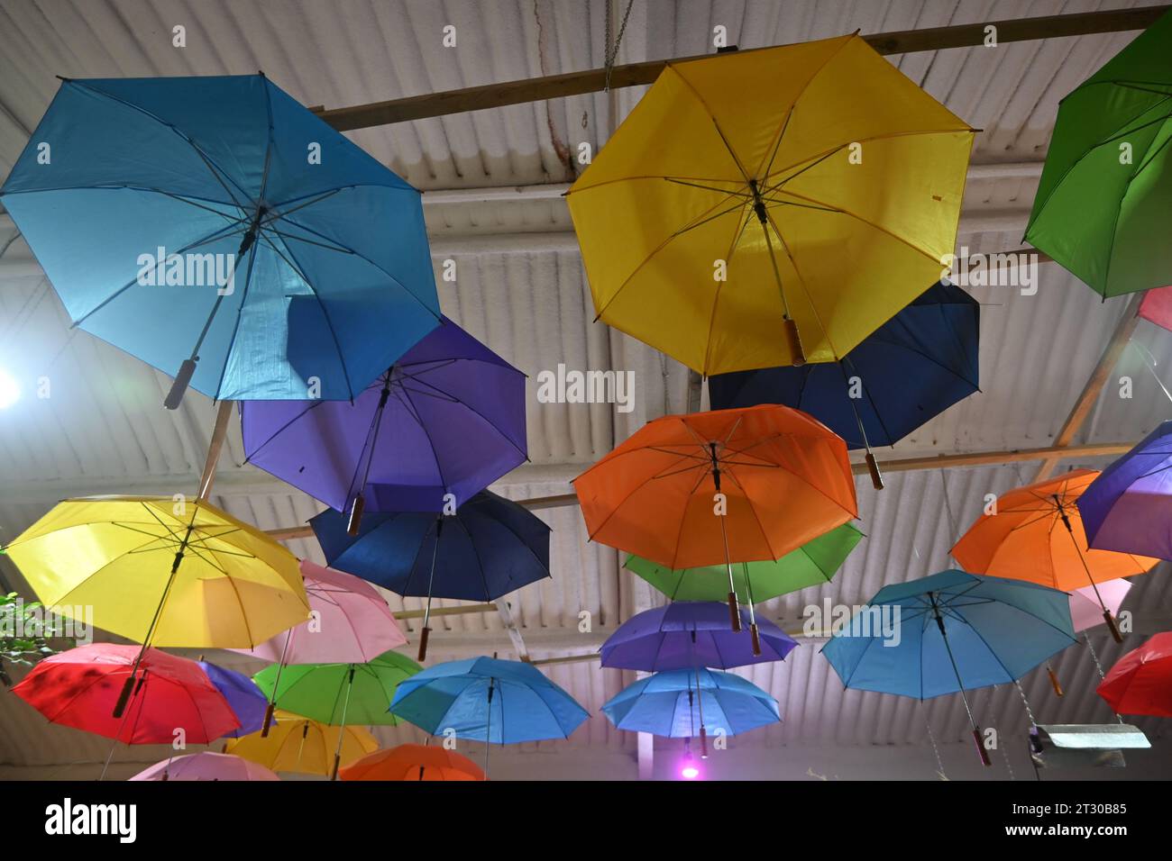 umbrellas decorating cafe ceiling Stock Photo - Alamy