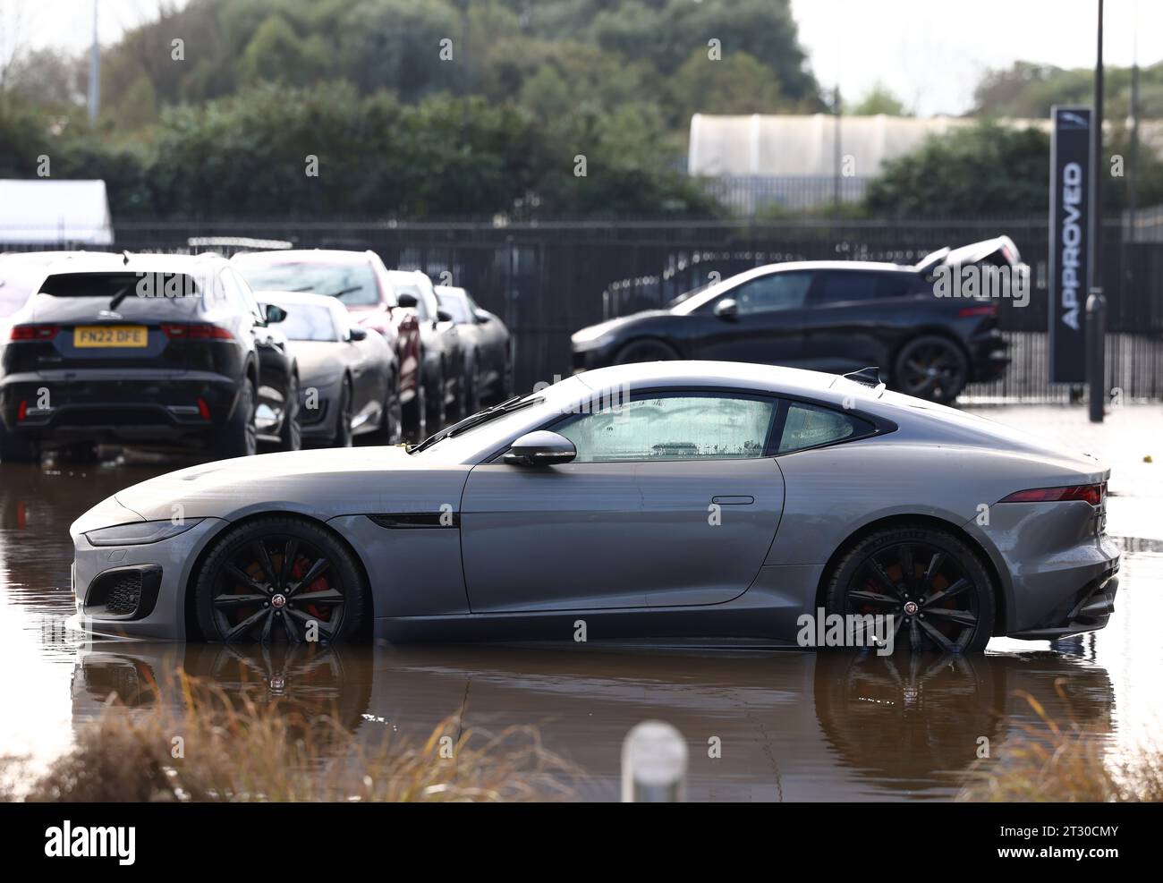 Jaguar f type floods hi-res stock photography and images - Alamy
