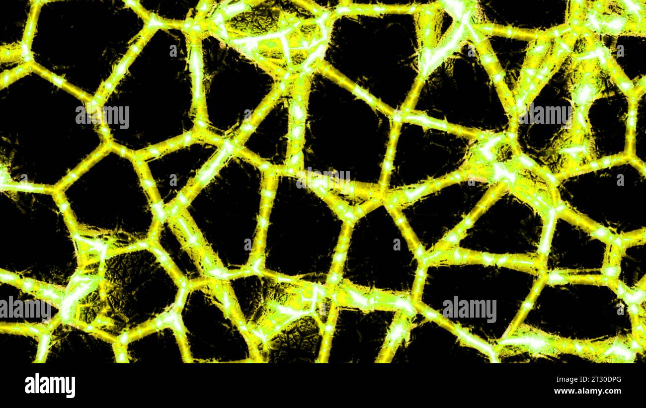 Lines of glowing pattern with moving cells. Design. Changing cell ...