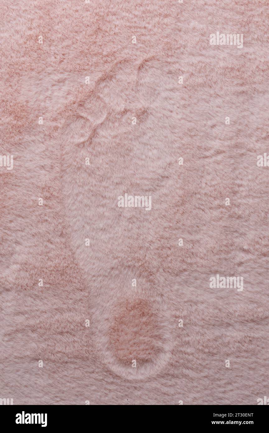 Footstep trace on pink color carpet above top view Stock Photo - Alamy