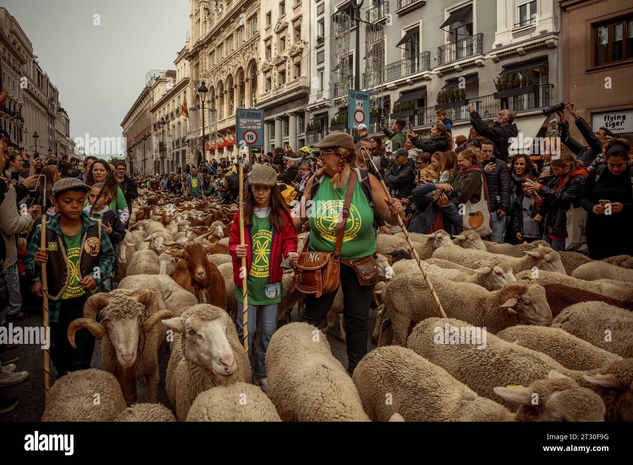 Madrid, Spain. , . Shepherds guide their flock of sheep and goats ...