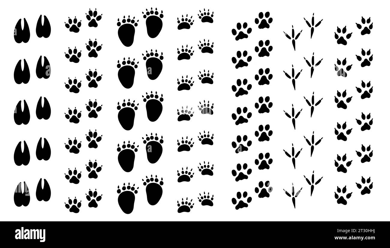 Dog marks Cut Out Stock Images & Pictures - Alamy