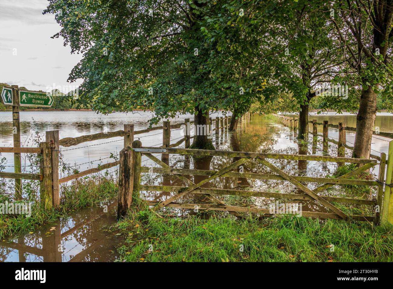 Flooded country footpath. Storm Babet Stock Photo - Alamy