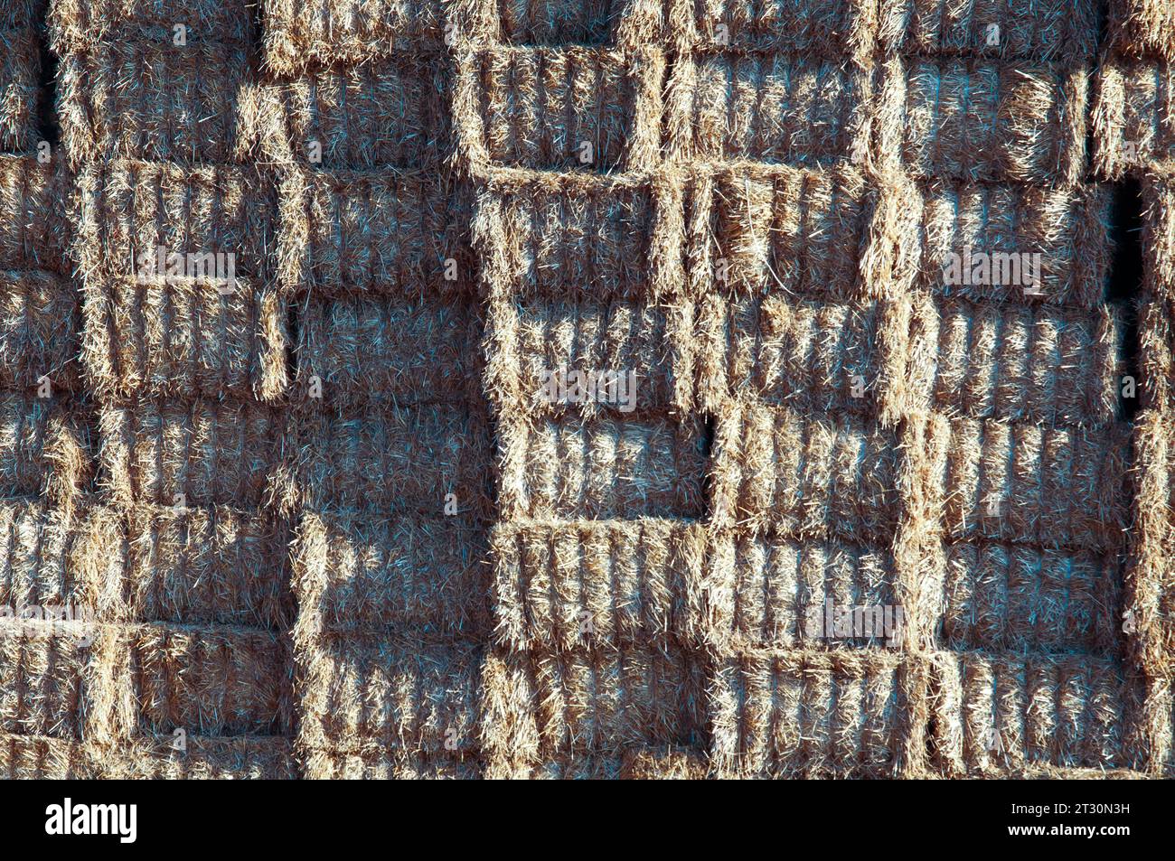 Haystacks. Hay bales in the agricultural field. Hey bales. Harvest time ...