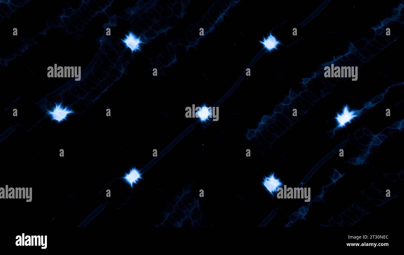 Black background with illuminated lights. Motion. Small burning stars ...