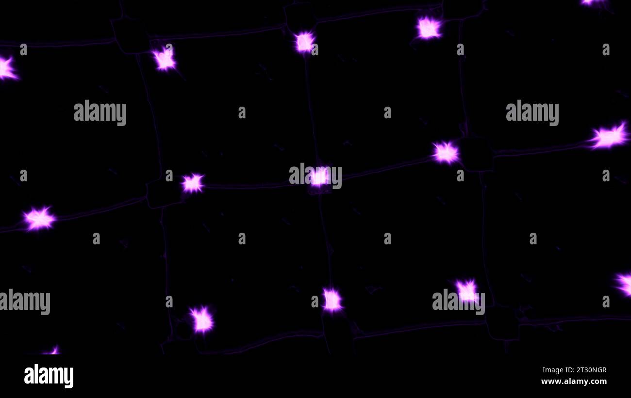Black background with illuminated lights. Motion. Small burning stars ...