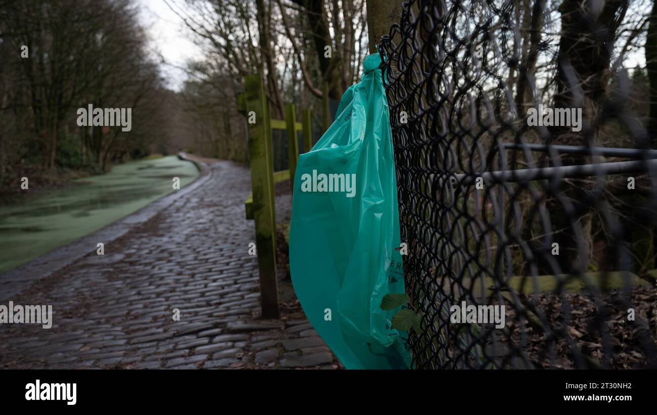 hanging garbage bag in the forest. Plastic bag hanging for recycling on ...
