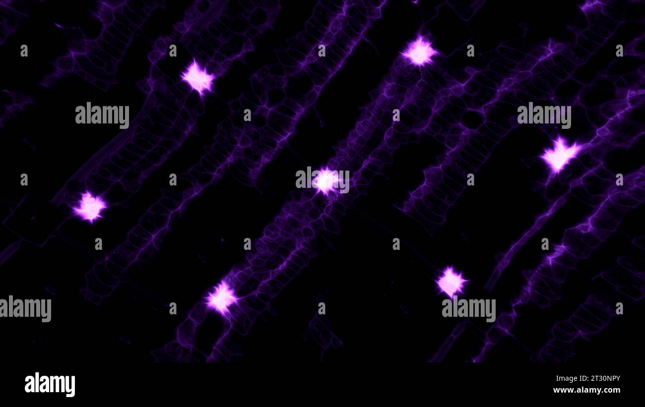 Black background with illuminated lights. Motion. Small burning stars ...