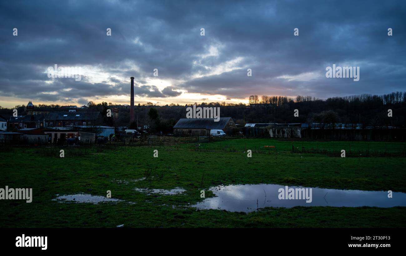 puddle on the grass. Puddle of water on the grass at the horse farm ...