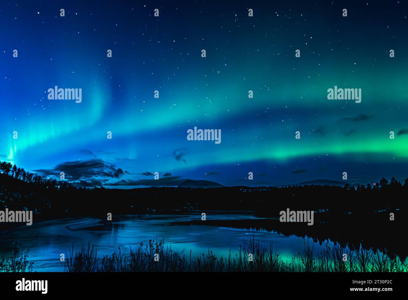 Northern Lights At Blue Hour Stock Photo - Alamy