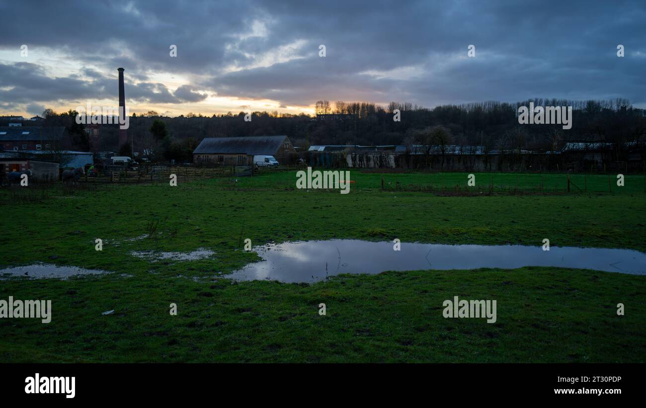 puddle on the grass. Puddle of water on the grass at the horse farm ...