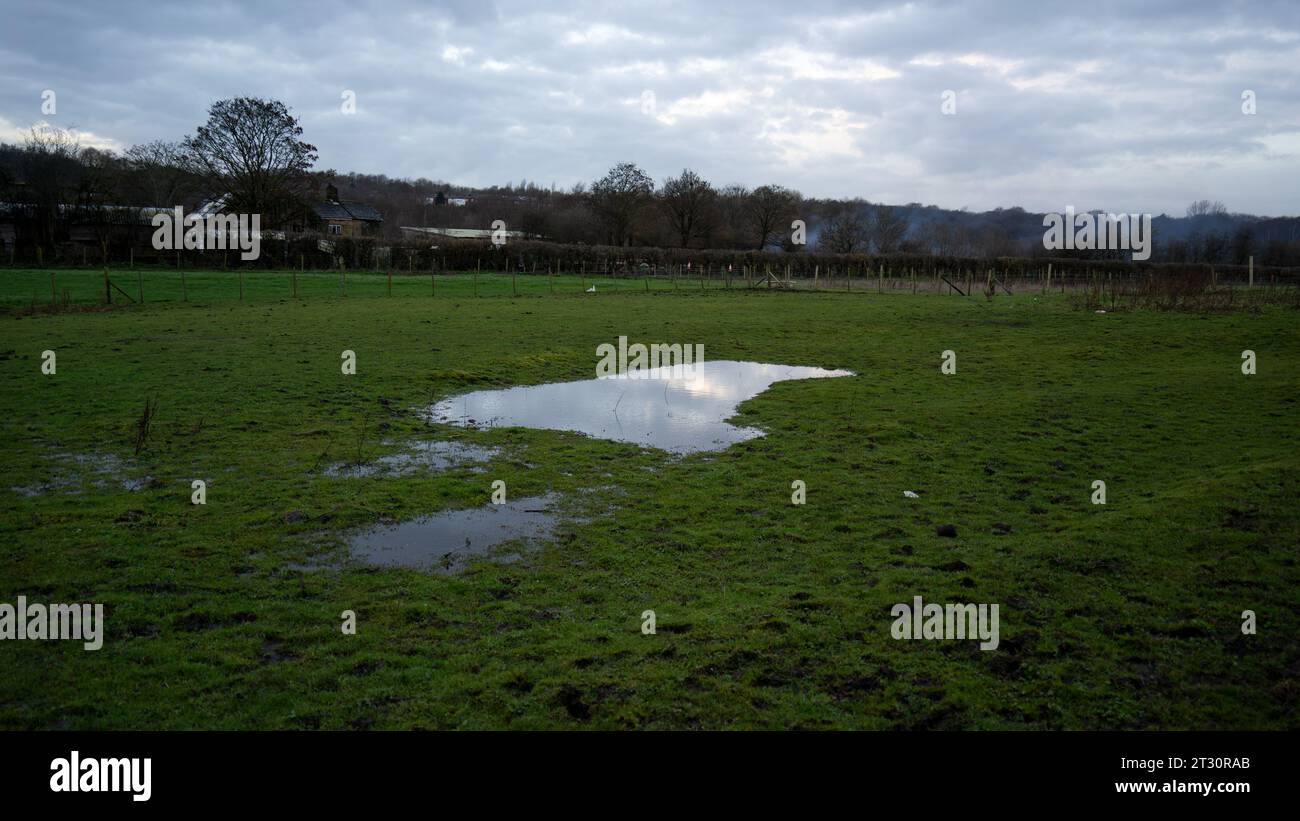 puddle on the grass. Puddle of water on the grass at the horse farm ...