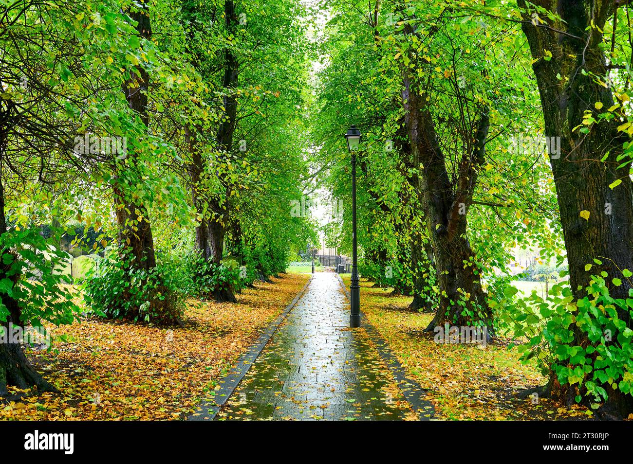 Rain on pathway hi-res stock photography and images - Alamy