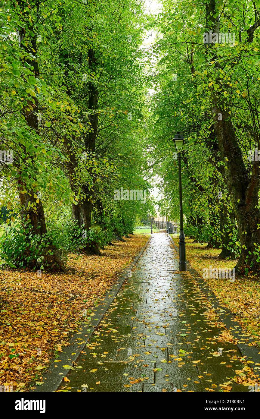 Rain on pathway hi-res stock photography and images - Alamy