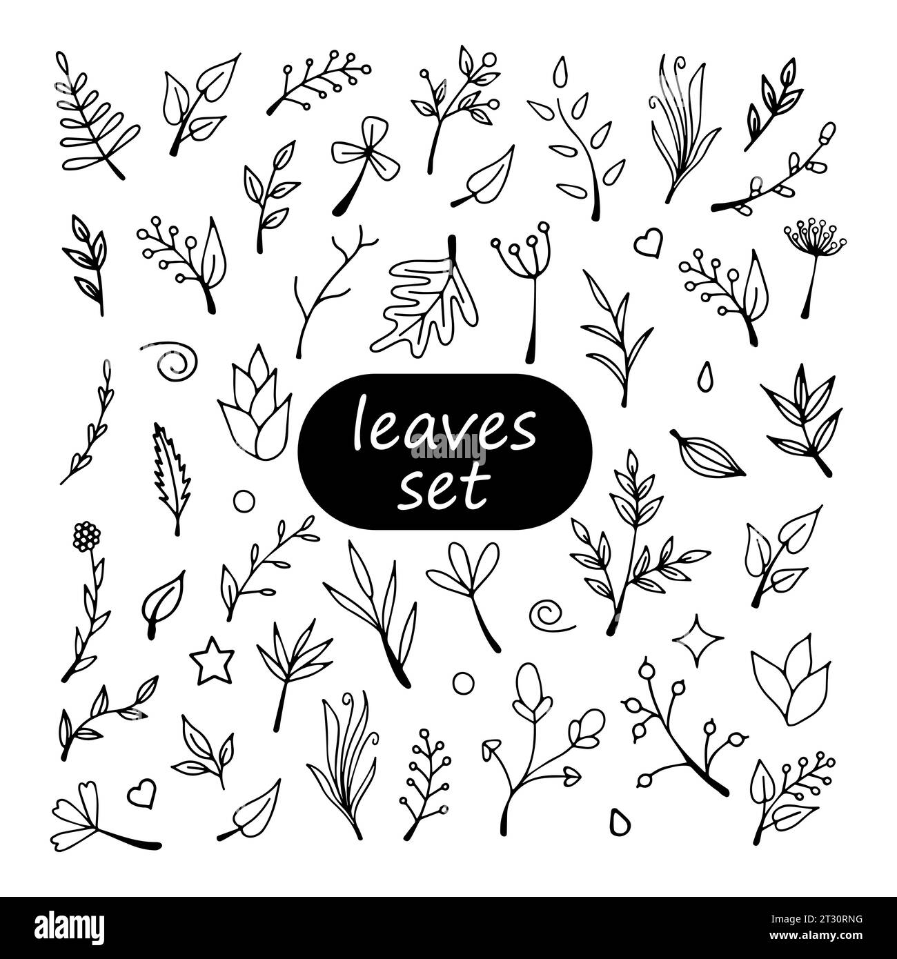 set of vector doodle leaves and twigs Stock Vector Image & Art - Alamy