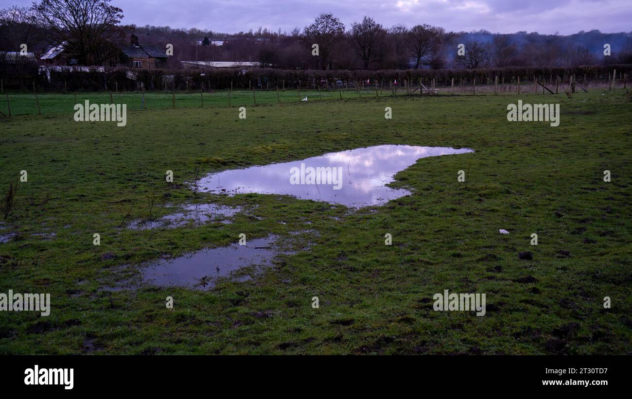 puddle on the grass. Puddle of water on the grass at the horse farm ...